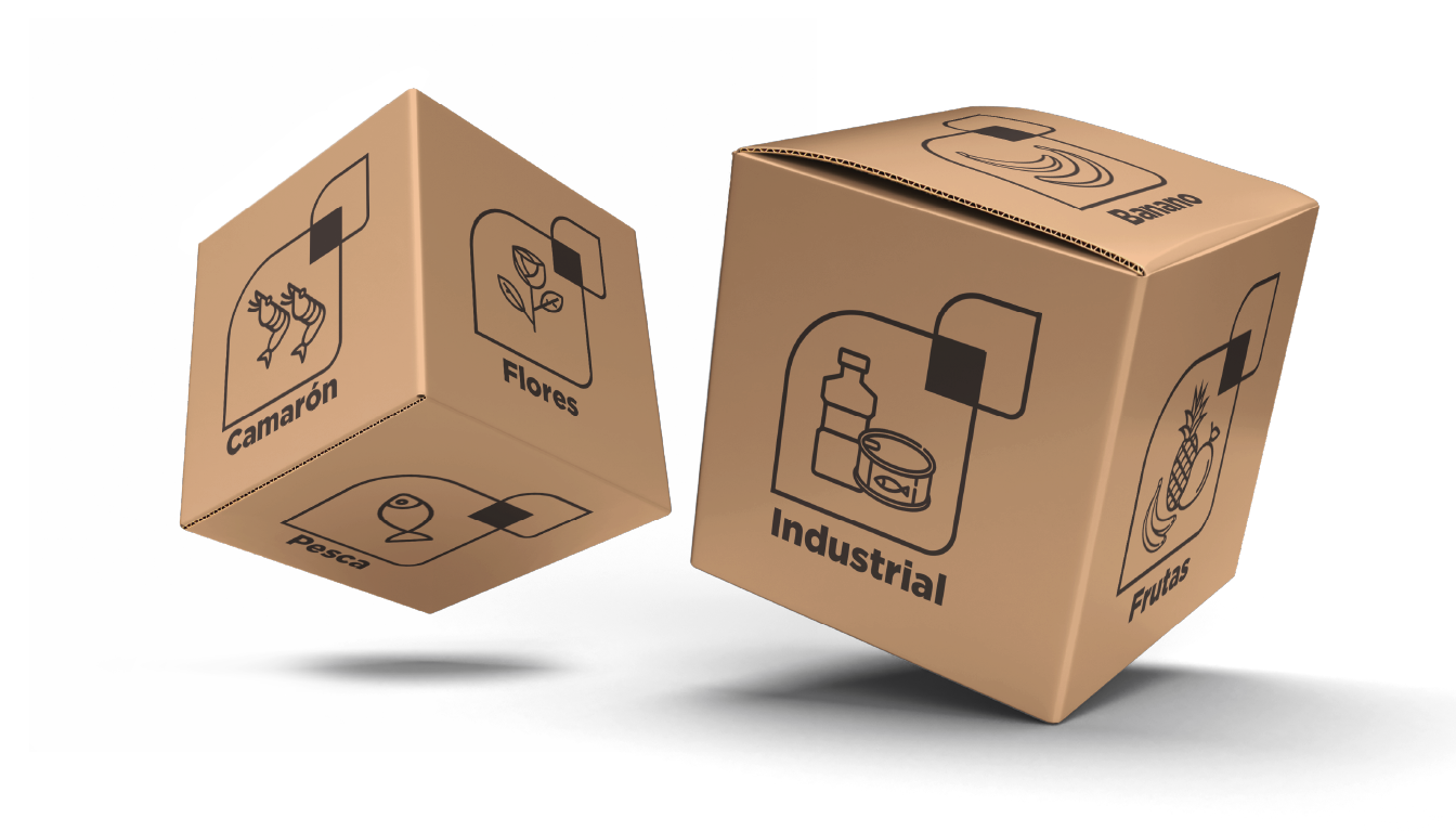 Servicios – Incarpalm